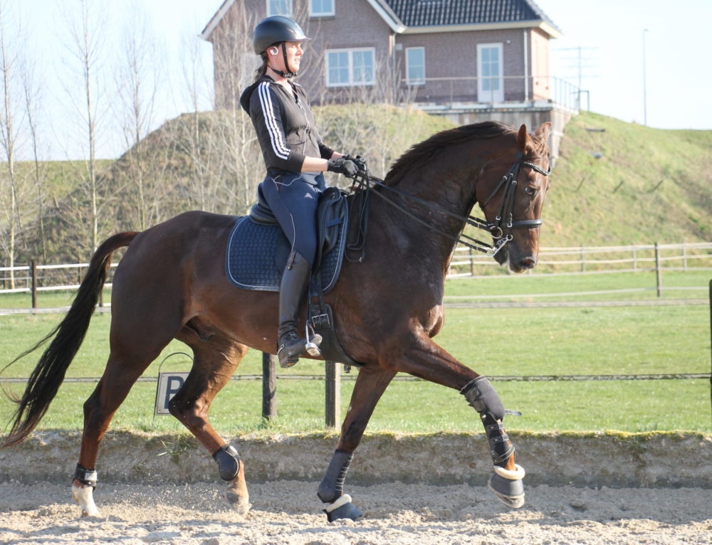 [Muscle Monday] Gluteus Medius en de Gluteus Superficialis - Het ...